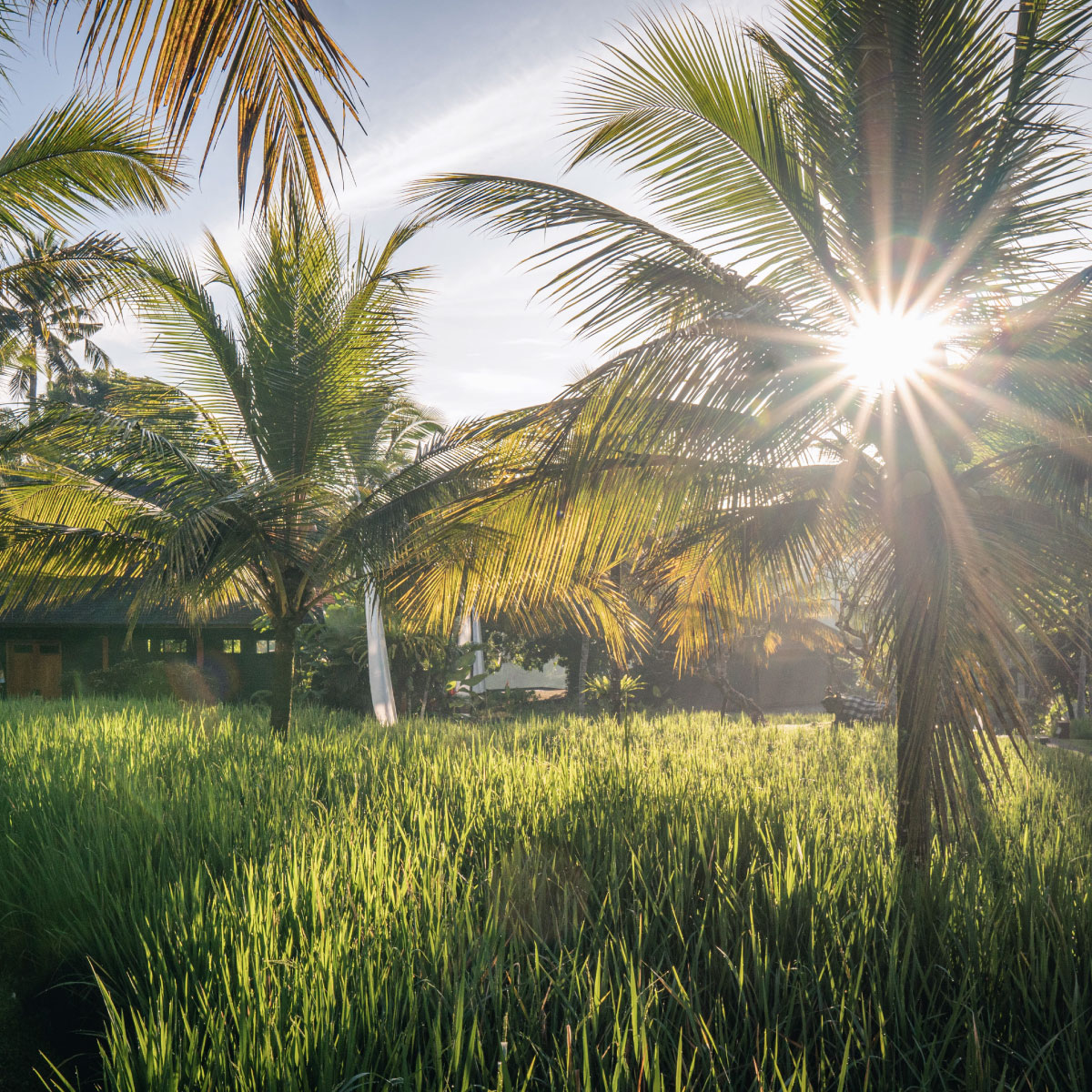 Ubud Luxury Resort Chapung Sebali | Bali Indonesia Hotel